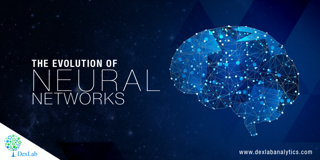 The Evolution of Neural Networks The Evolution of Neural Networks
