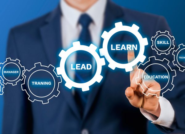 Application of Median Using R And Python: Calculating Median On the Go