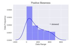 Skewness and Kurtosis: A Definitive Guide